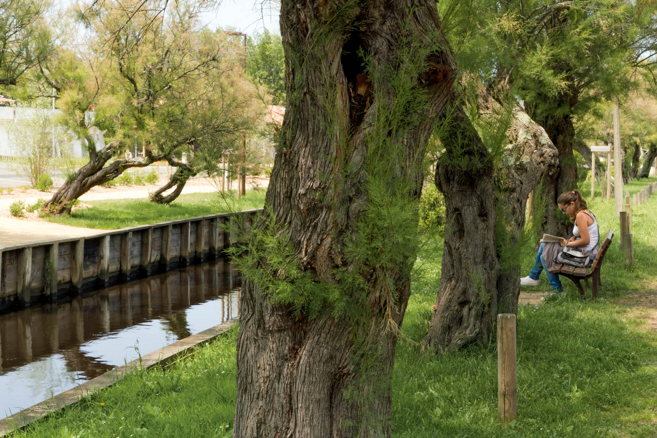 Les landes et le Moisan | d’une ville à l’autre…